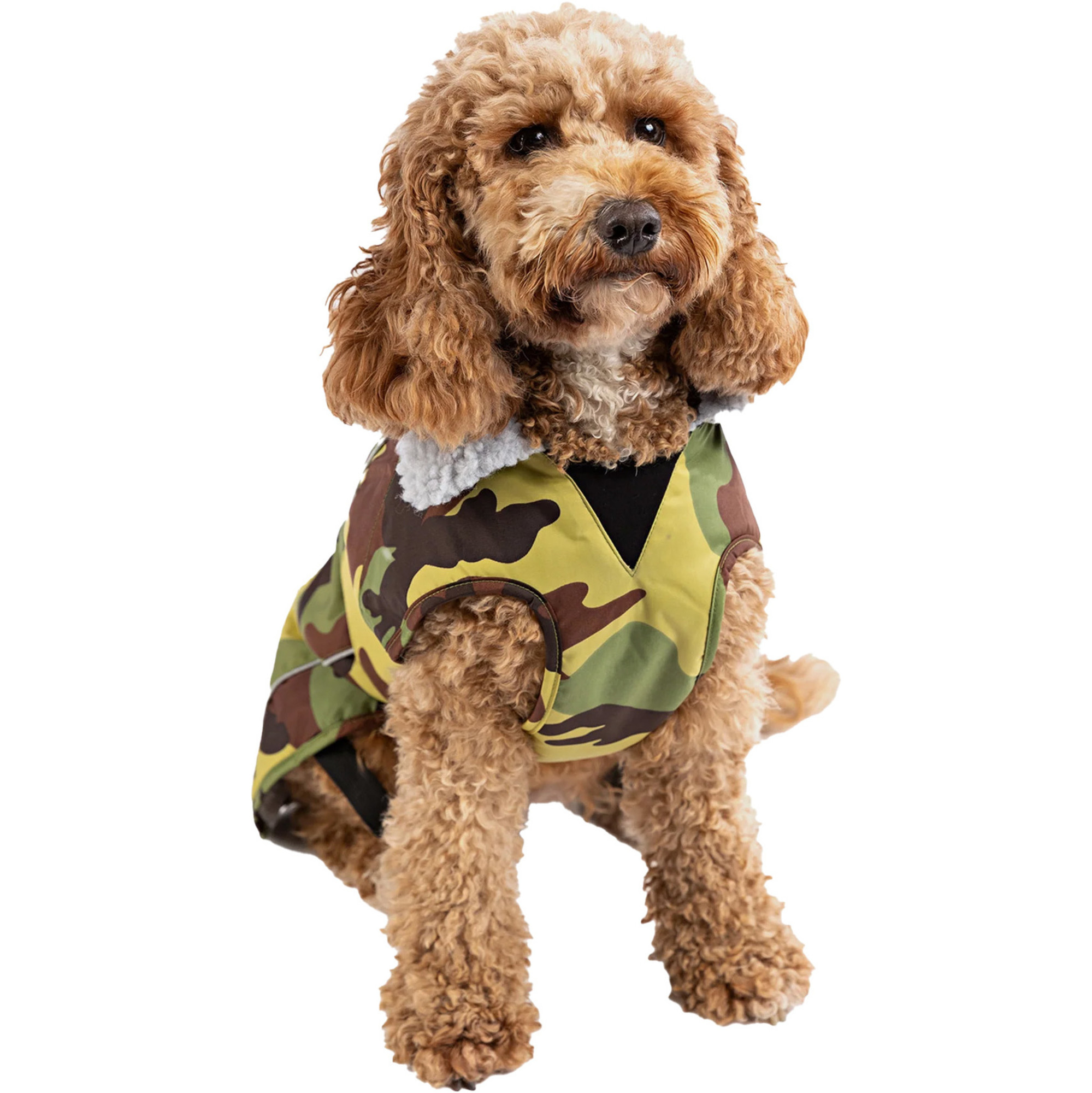 2025 Dryrobe Dog Coat V3 DRV3 - Camo Grey - Accessories - Dog | Wetsuit ...