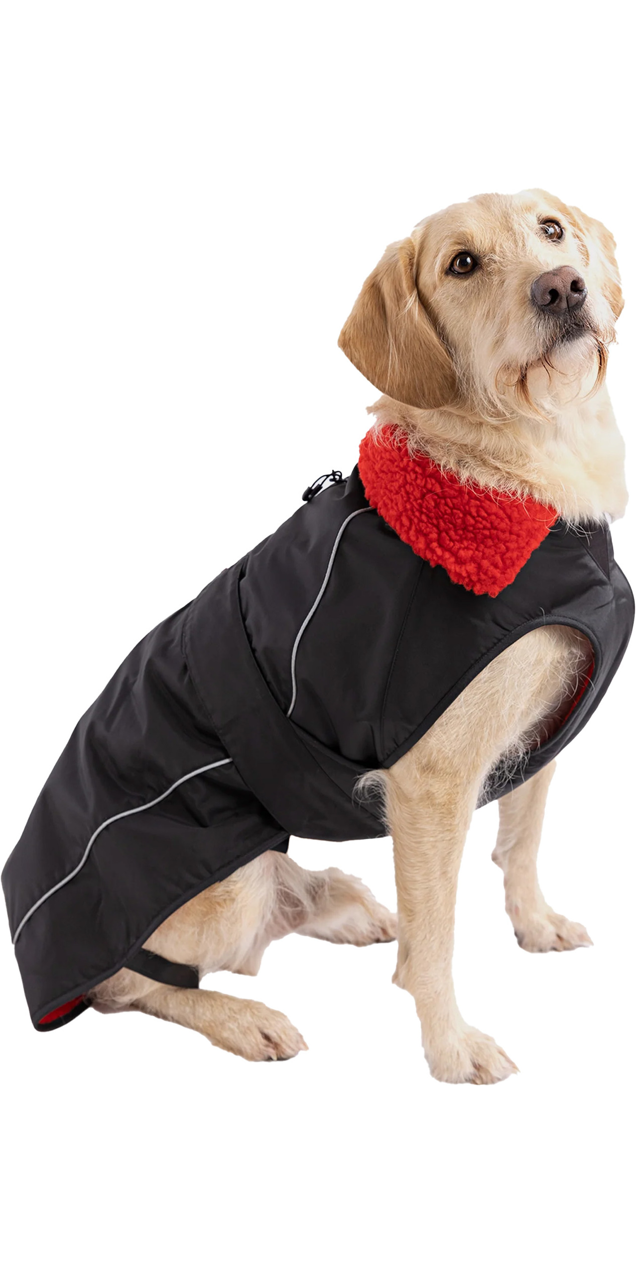 2025 Dryrobe Dog Coat V3 DRV3 - Black / Red - Accessories - Dog ...